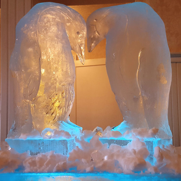 Animals – Creative Ice
